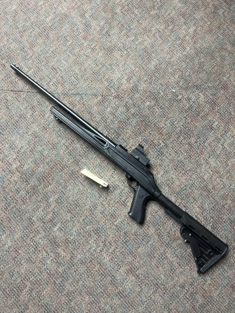 Ruger 1022 22 lr | Gun Runners