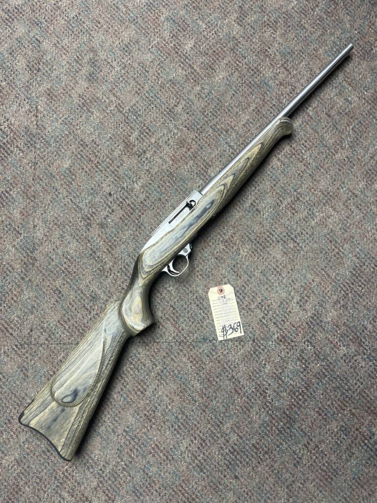 Ruger 10-22 stainless steel, laminated stock | Gun Runners